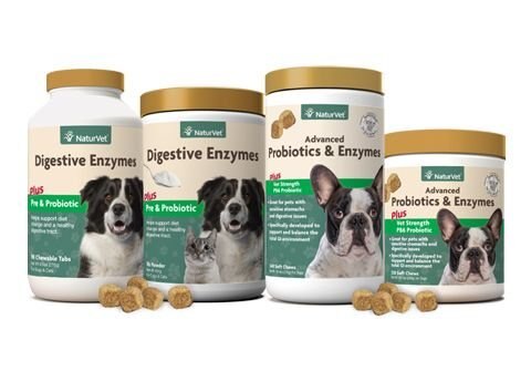NATURVET Advanced Probiotics & Enzymes Plus Vet Strength PB6 Probiotic ...