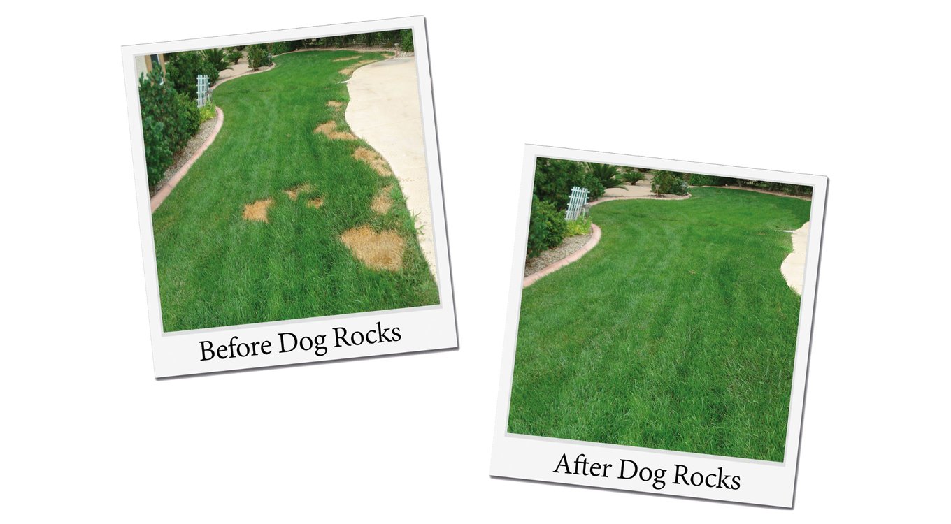 DOG ROCKS Grass & Lawn Saver Dog Urine Burn Patch Protection, 6 months ...
