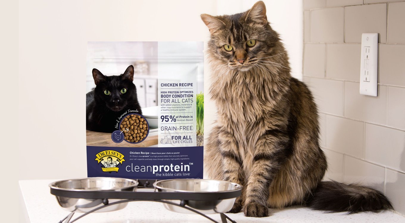 Discontinued - DR. ELSEY'S cleanprotein Rabbit Kibble Cat Dry Food, 6.6 ...