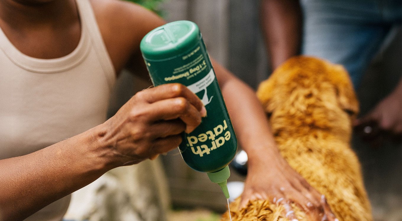 EARTH RATED 3-in-1 Deshedding Dog Shampoo & Conditioner, White Tea ...