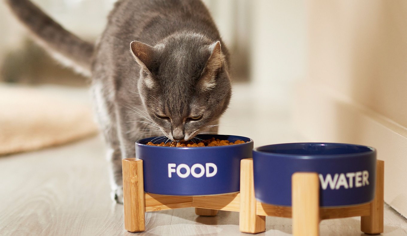 FRISCO Sisal Ball 13.5" Cat Scratching Post - Chewy.com