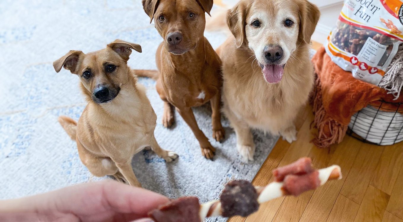 GOOD 'N' FUN Triple Flavor Kabobs Chicken, Duck & Chicken Liver Dog ...