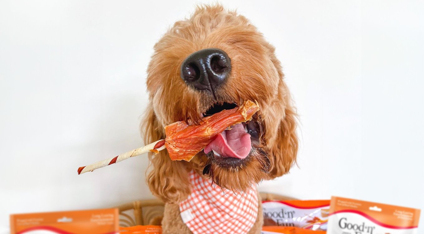 GOOD 'N' FUN Triple Flavor 6-in Pork, Beef & Chicken Dog Treat Chew ...