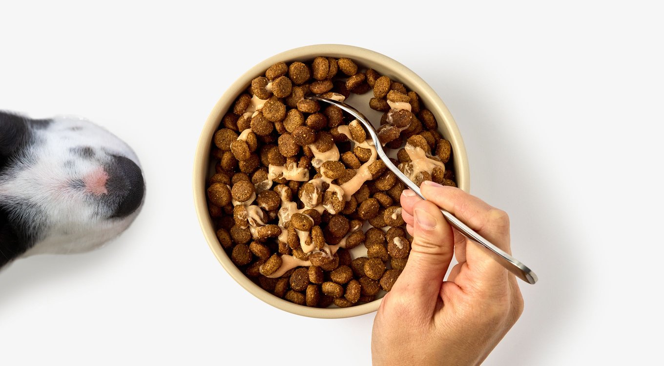 GOOD 'N' TASTY Triple Flavor Mix Tuna, Chicken, & Duck Puree Dog Food ...
