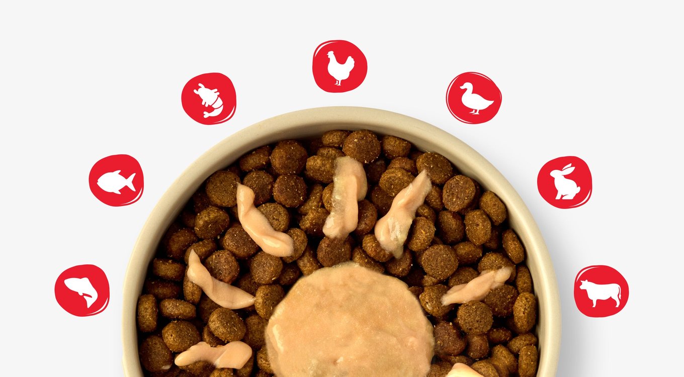 GOOD 'N' TASTY Triple Flavor Mix Tuna, Chicken, & Duck Puree Dog Food ...