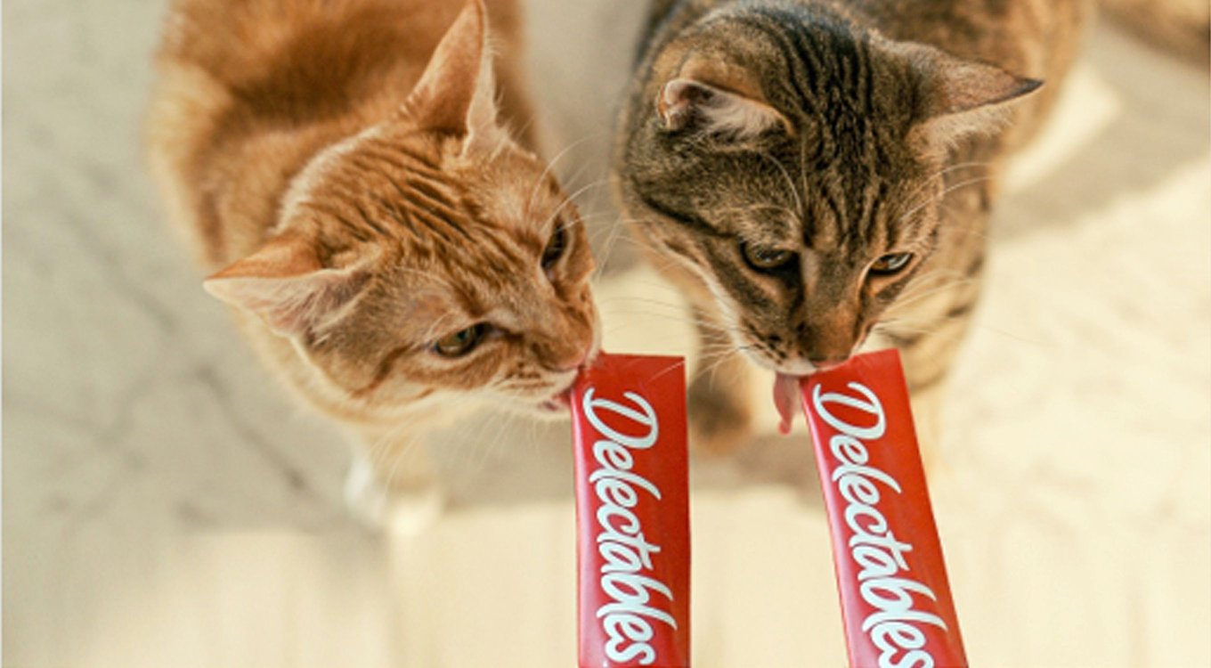 HARTZ Delectables Squeeze Up Non-Seafood Variety Pack Lickable Cat Treats, 0.5-oz, case of 72 ...