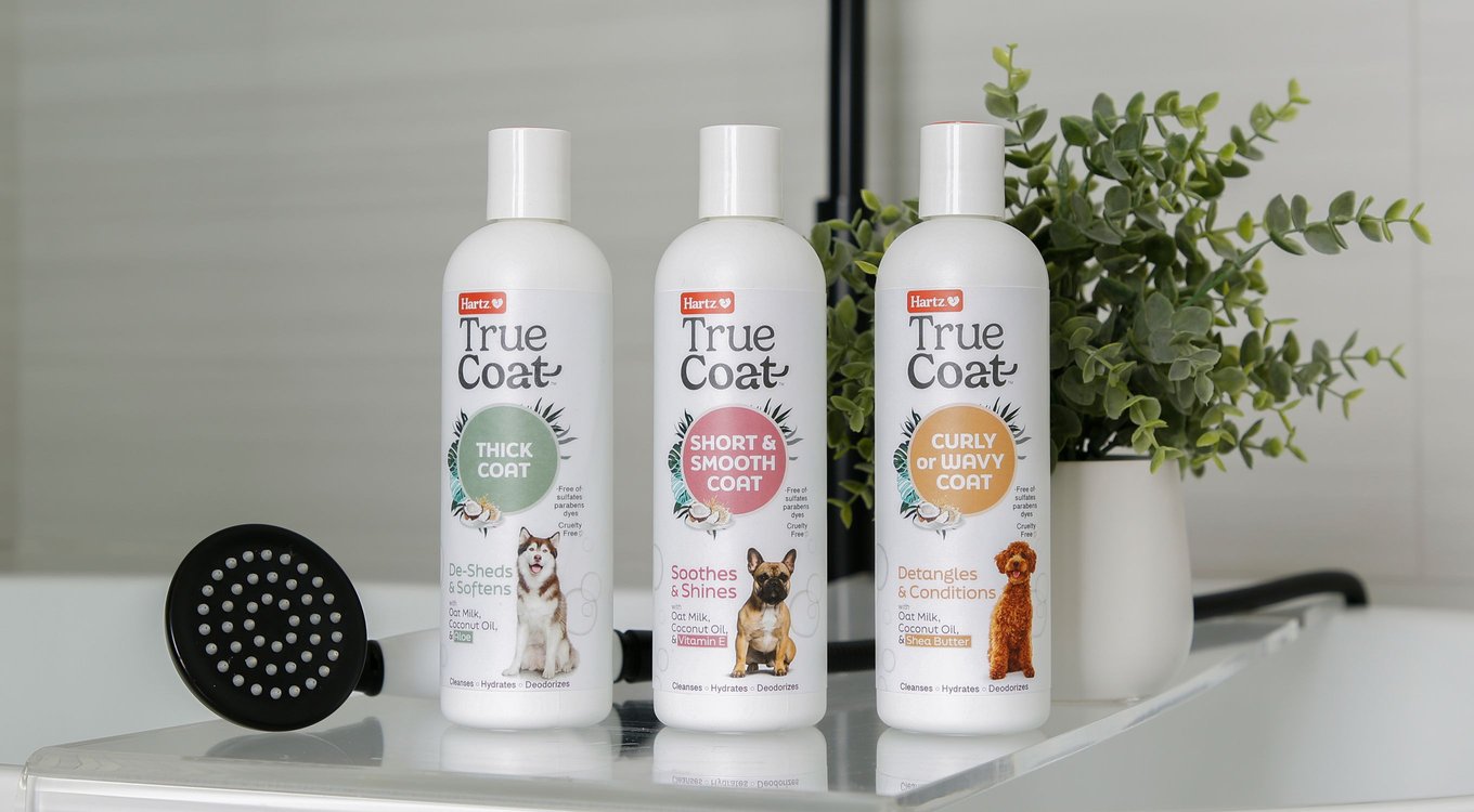 HARTZ Groomer's Best Combo Dog Brush - Chewy.com