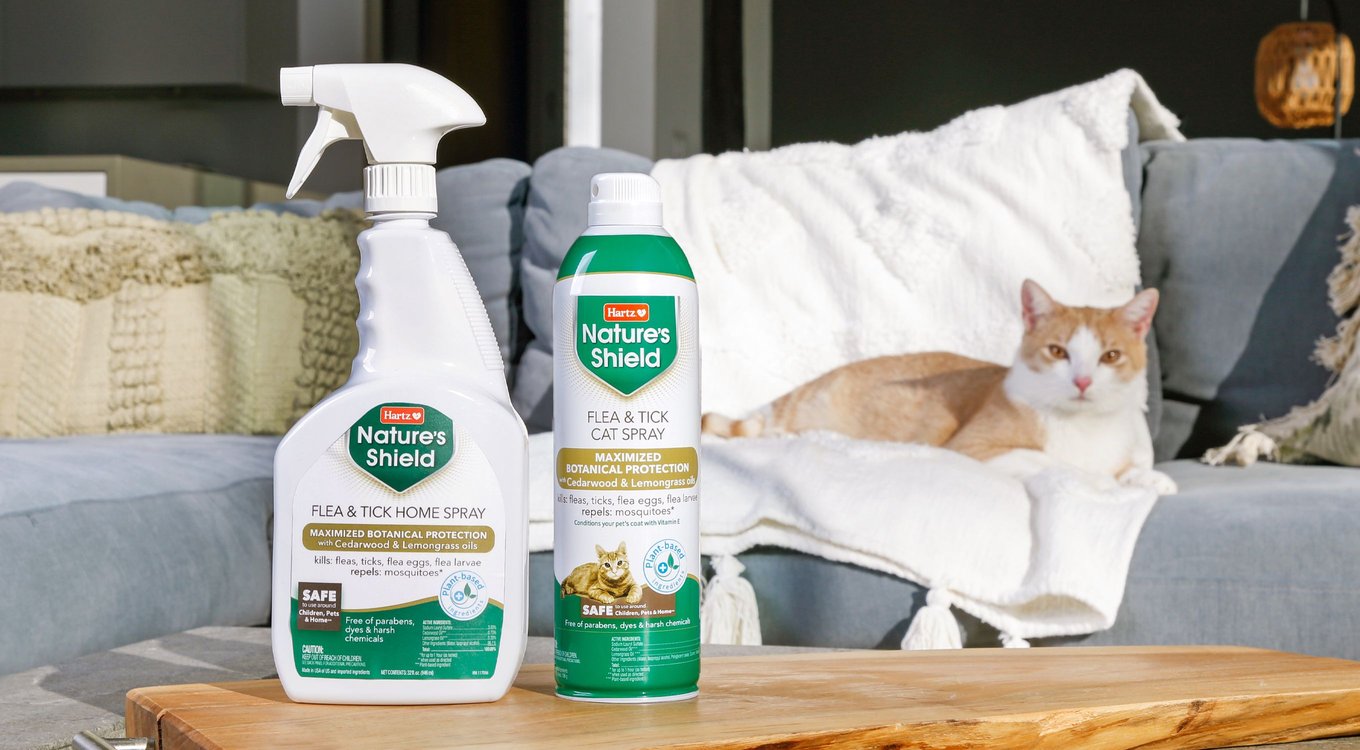 HARTZ Nature's Shield Cat Spray, 14-fl oz bottle - Chewy.com