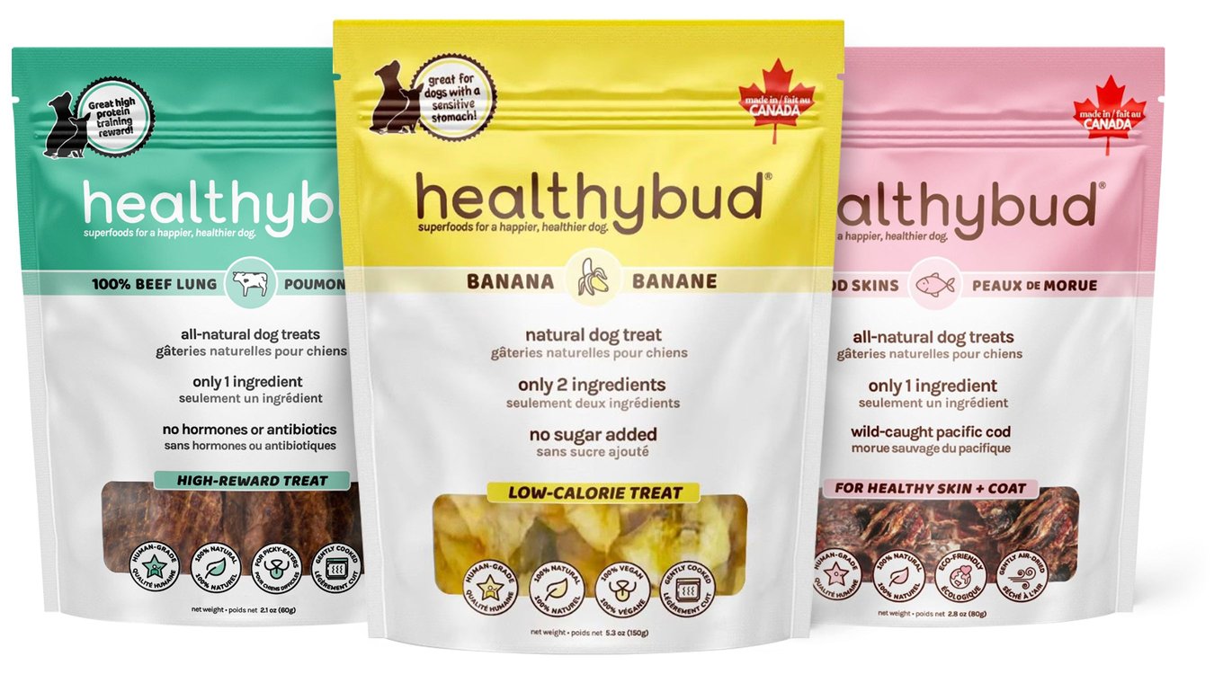 HEALTHYBUD Banana Chips Crunchy Vegan Dog Treats Single Ingredient, 5.3 ...
