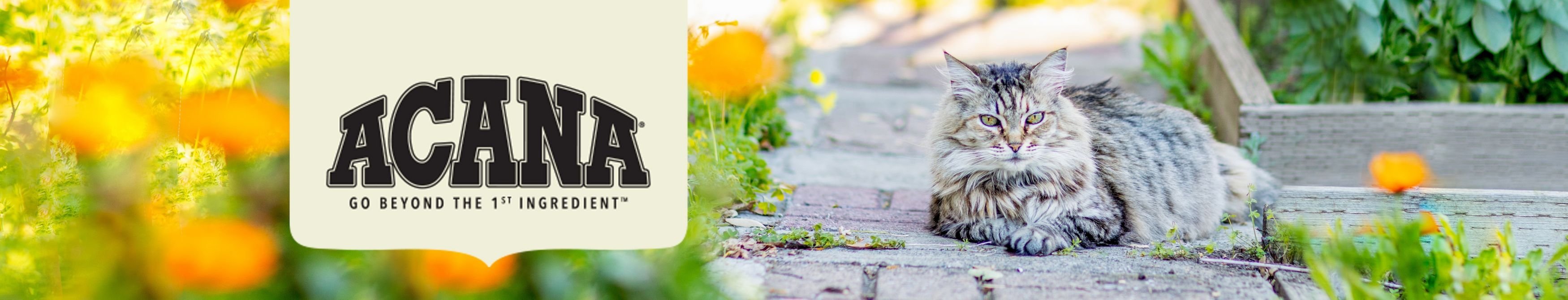 ACANA Bountiful Catch Salmon Catfish & Herring Dry Cat Food, 10-lb bag ...