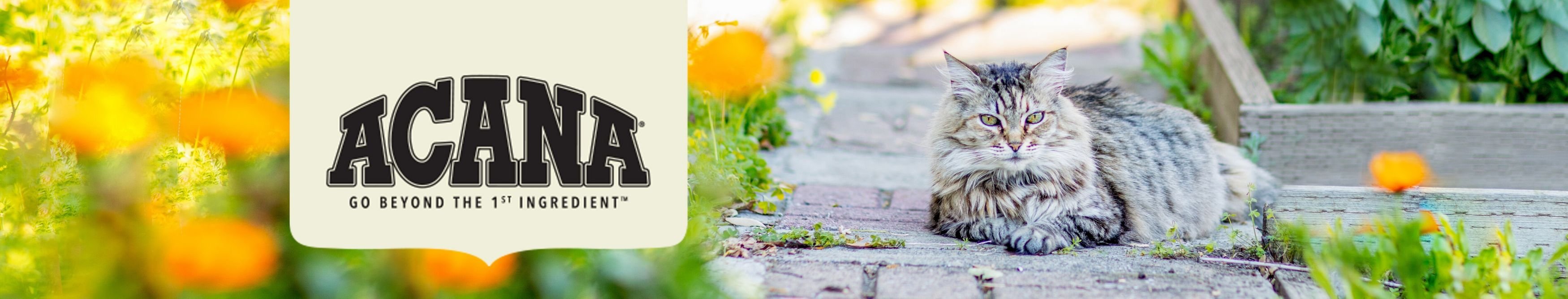 ACANA Premium Pate Surf & Turf Variety Pack Wet Cat Food, 3-oz can ...