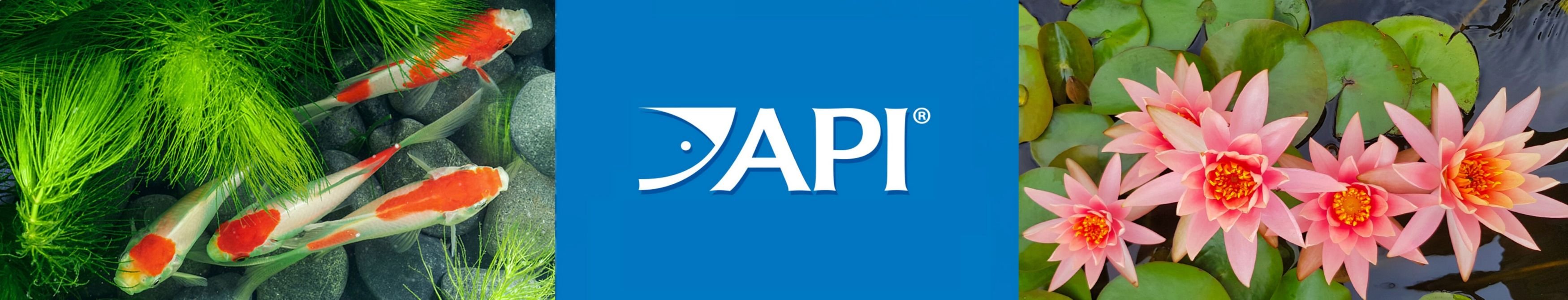 API Pond Algaefix Algae Control Solution, 1-gal bottle - Chewy.com