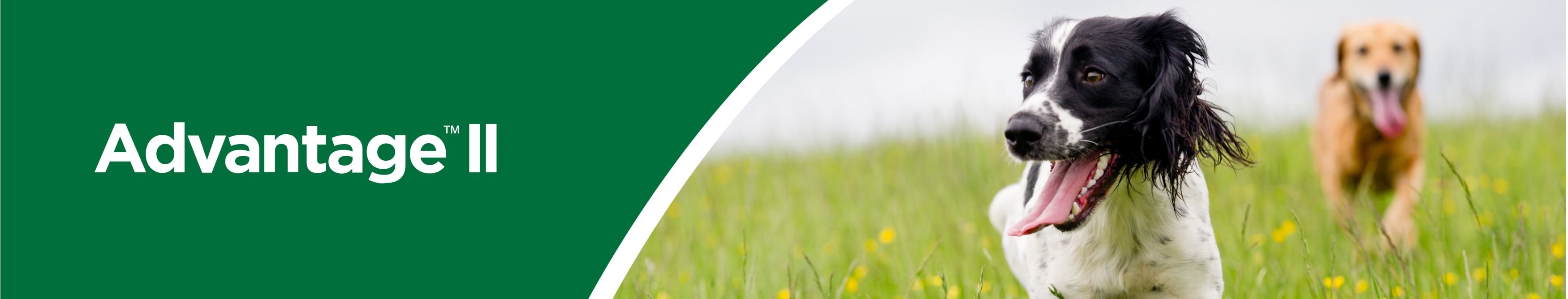 ADVANTAGE II Flea Spot Treatment for Dogs, 11-20 lbs, 4 Doses (4-mos ...