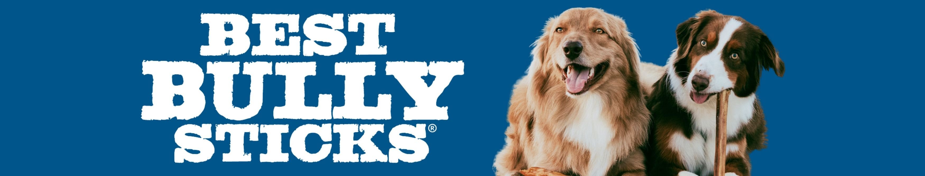 BEST BULLY STICKS Odor Free 6" Bully Stick Dog Treats, 6 count - Chewy.com