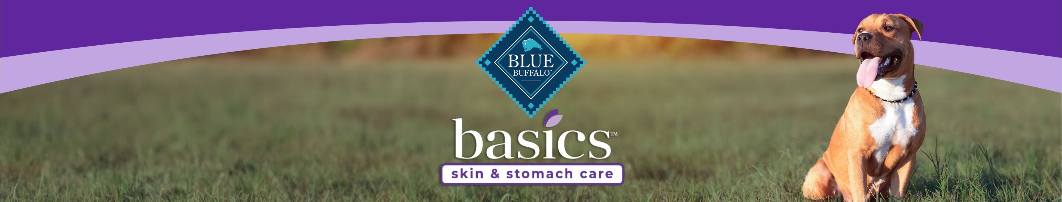 BLUE BUFFALO Basics Skin & Stomach Care Grain-Free Formula Salmon ...
