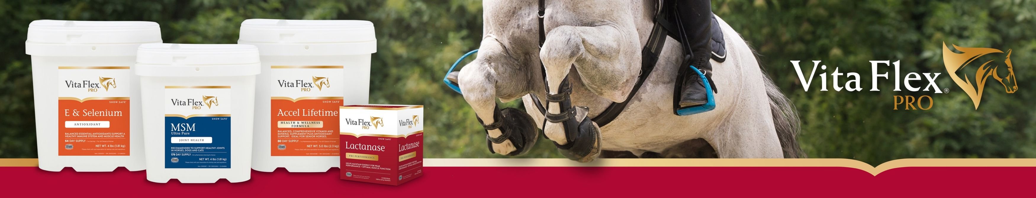 VITA FLEX PRO MSM Ultra Pure Joint Support Powder Dog, Cat & Powder ...