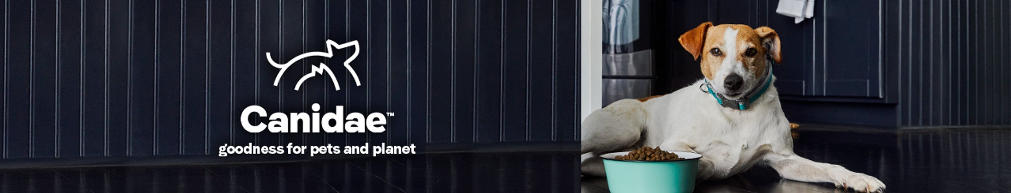 CANIDAE Grain-Free PURE Senior Limited Ingredient Chicken, Sweet Potato ...