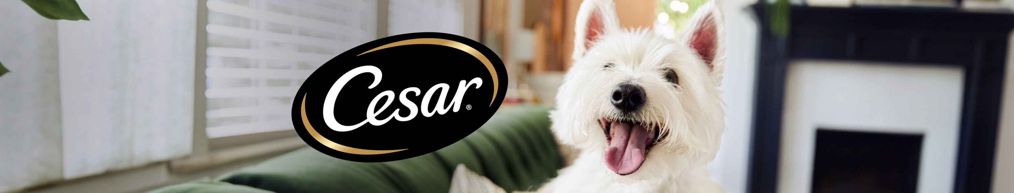 CESAR Simply Crafted Variety Pack Chicken & Chicken, Carrots & Green ...