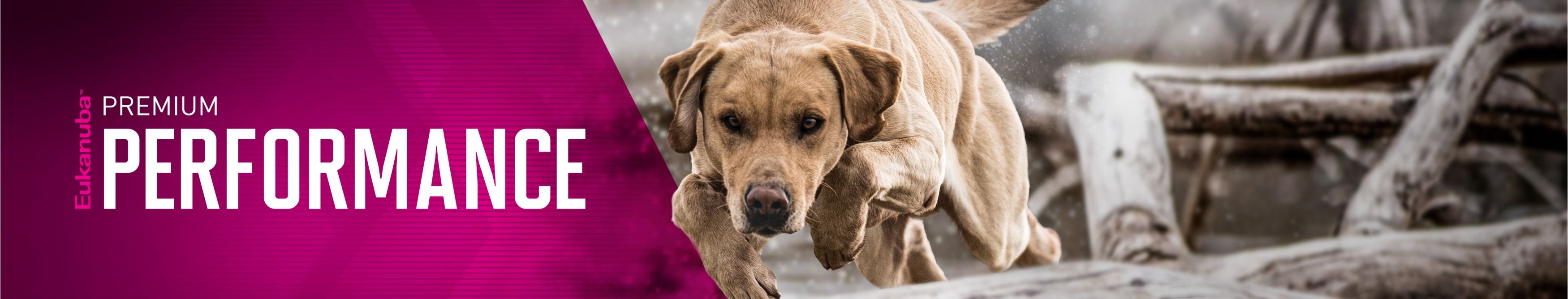 EUKANUBA Premium Performance 30/20 SPORT Dry Dog Food, 28-lb bag ...