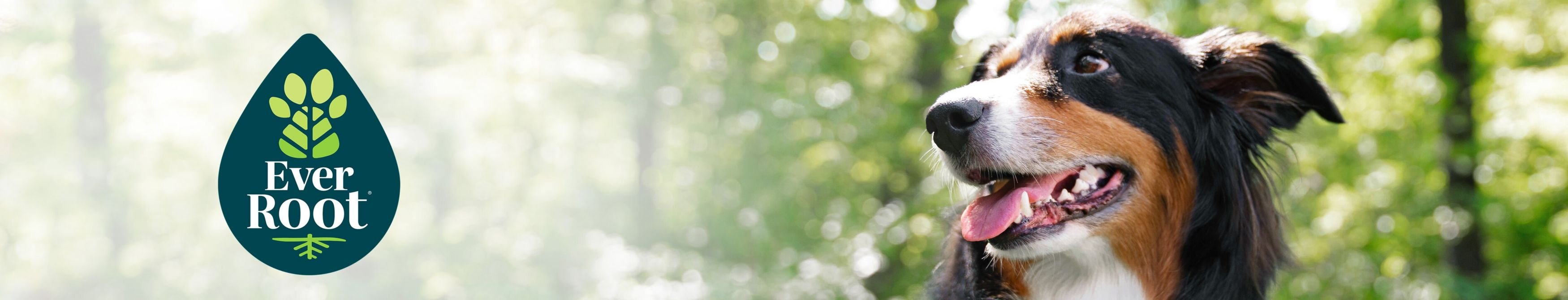 EVERROOT By Purina Skin & Coat Soft Chews Supplement for Dogs, 10.6-oz ...