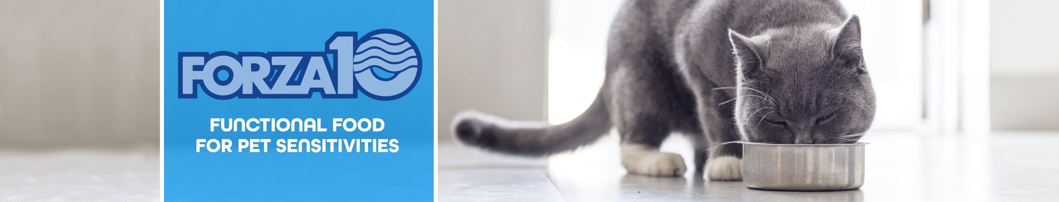 FORZA10 Actiwet Renal Support Wet Cat Food, 3.5-oz, case of 12 - Chewy.com