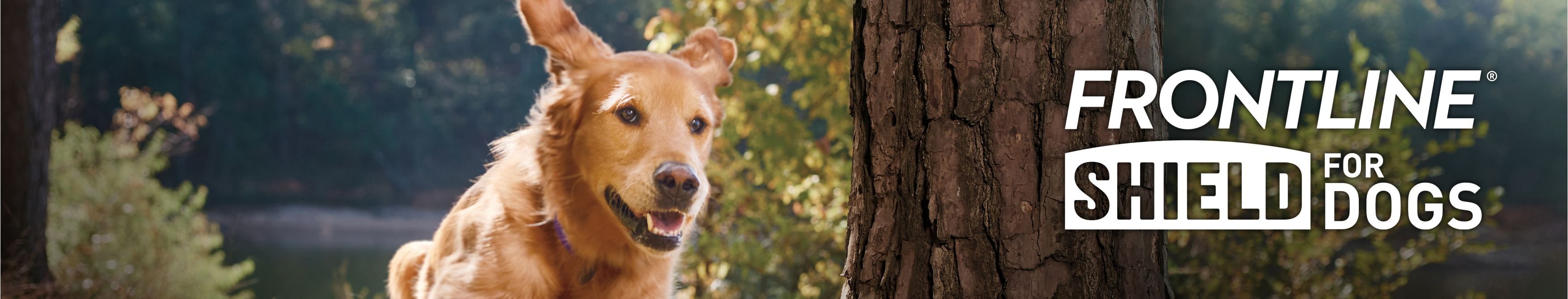 FRONTLINE SHIELD Flea & Tick Treatment for Large Dogs, 41 - 80 lbs, 3 ...