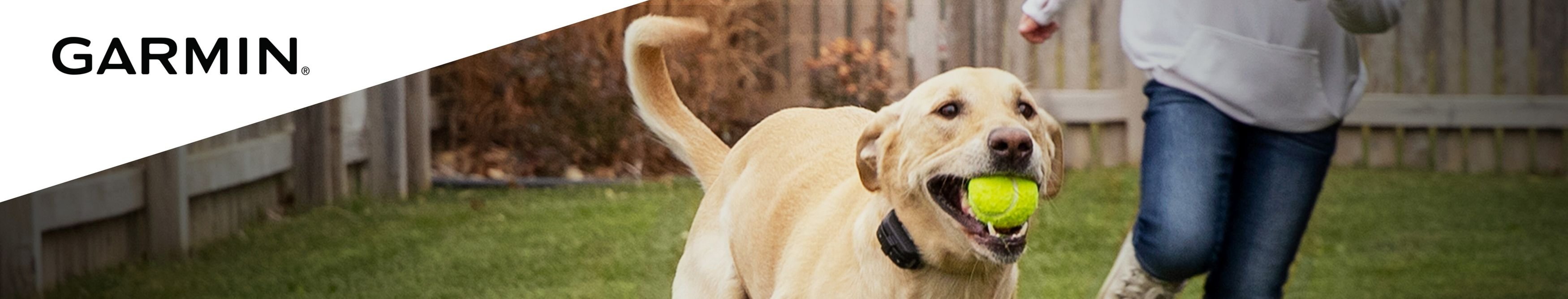 GARMIN Delta SE Hand-Held Remote Dog Training System, Black, Small ...