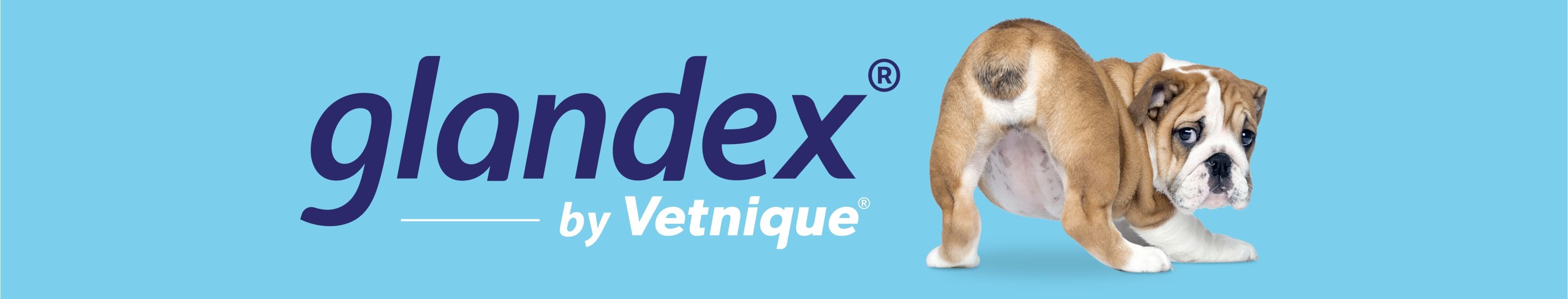 VETNIQUE LABS Glandex Feline Anal Gland Support Probiotic & Digestion ...