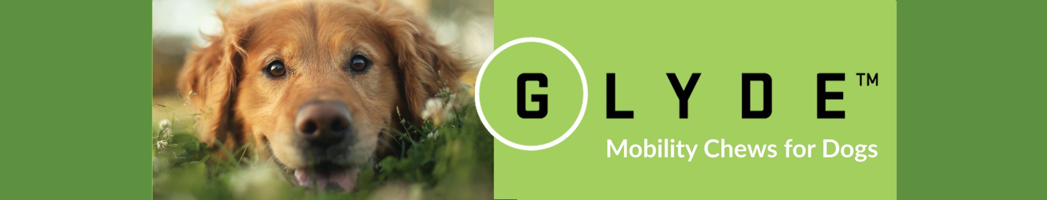 GLYDE MOBILITY CHEWS Hip & Joint Support Supplement with Glucosamine ...