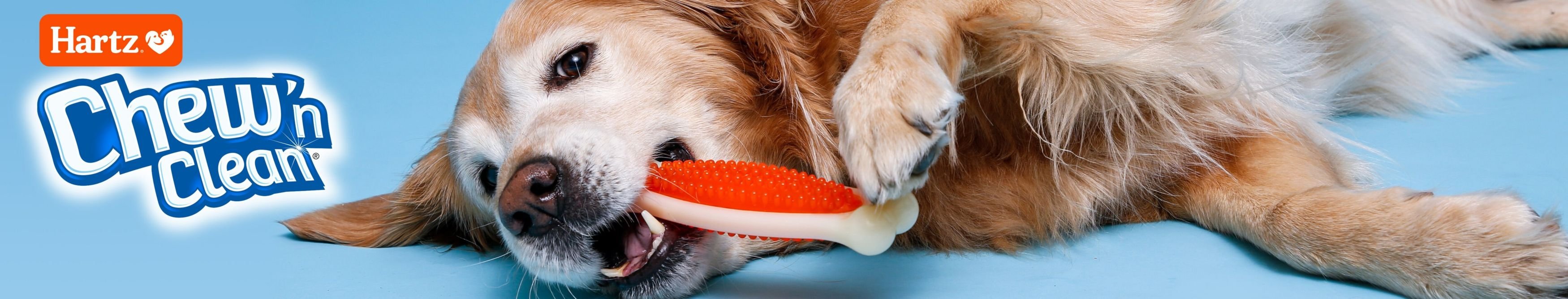 HARTZ Chew 'n Clean Tuff Bone Tough Dog Chew Toy Toy, Color Varies ...