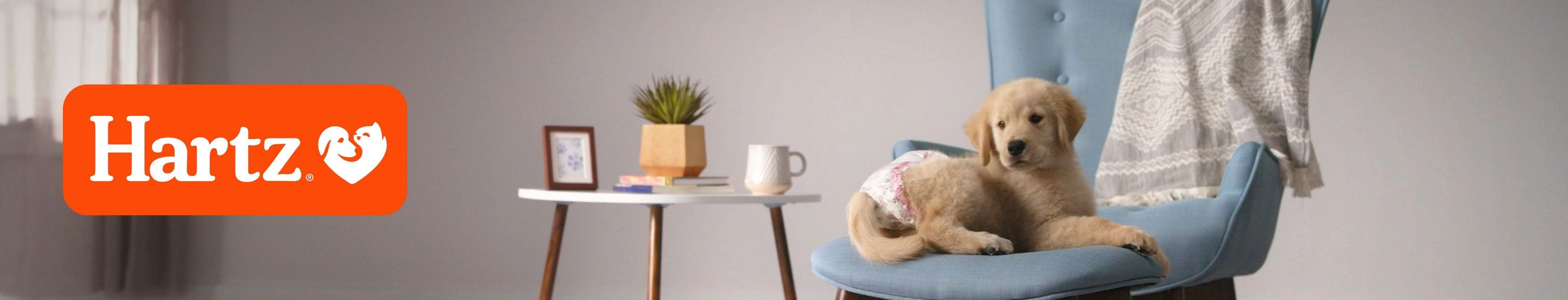 HARTZ Comfitables Male & Female Dog Diapers, SSS: Up to 10-in waist, 42 ...