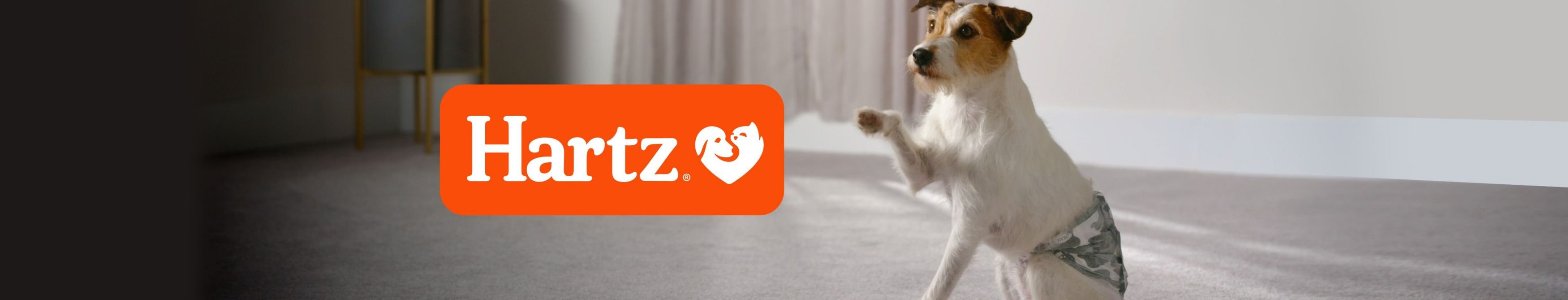 HARTZ Disposable Male Dog Wraps with FlashDry Gel Technology, SSS: Up ...