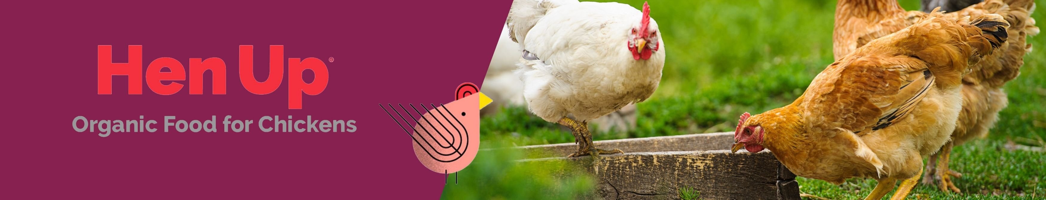 Temporarily Unavailable - HEN UP Scratch Grains Organic Chicken Food ...