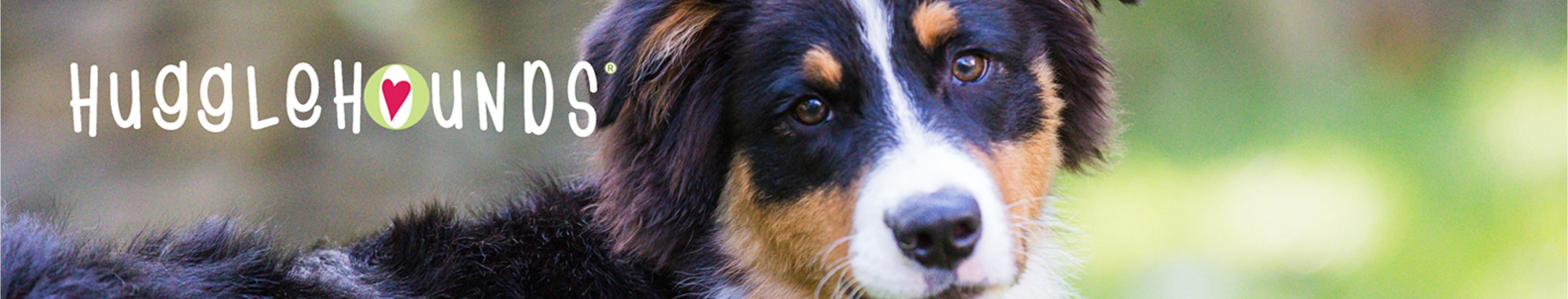 HUGGLEHOUNDS Barnyard Durable Plush Corduroy Knottie Bunny Squeaky Dog ...