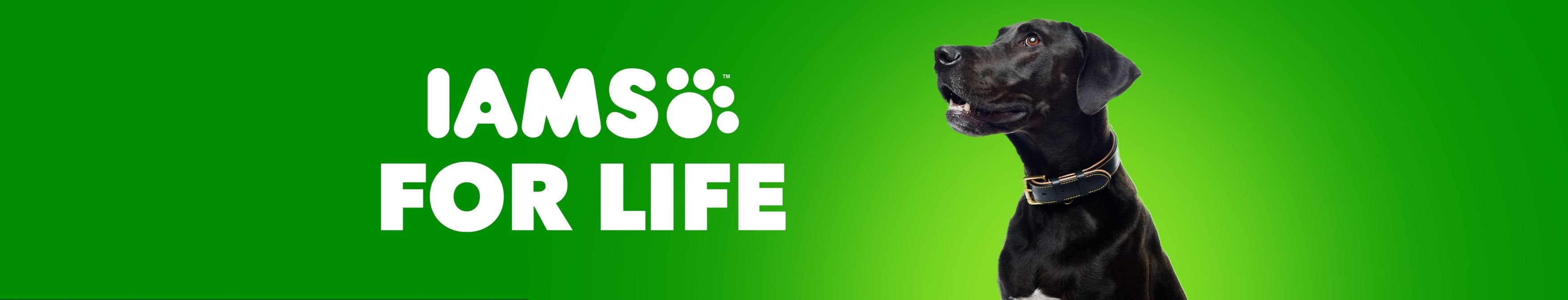 IAMS Proactive Health Variety Pack Canned Wet Dog Food, 13-oz can, case ...