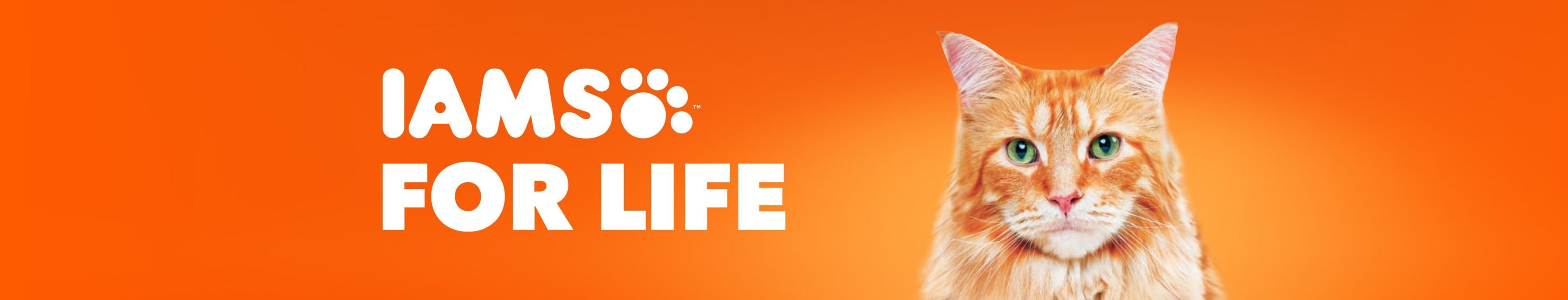 IAMS Perfect Portions Sensitive Digestion & Skin Adult Turkey Recipe ...