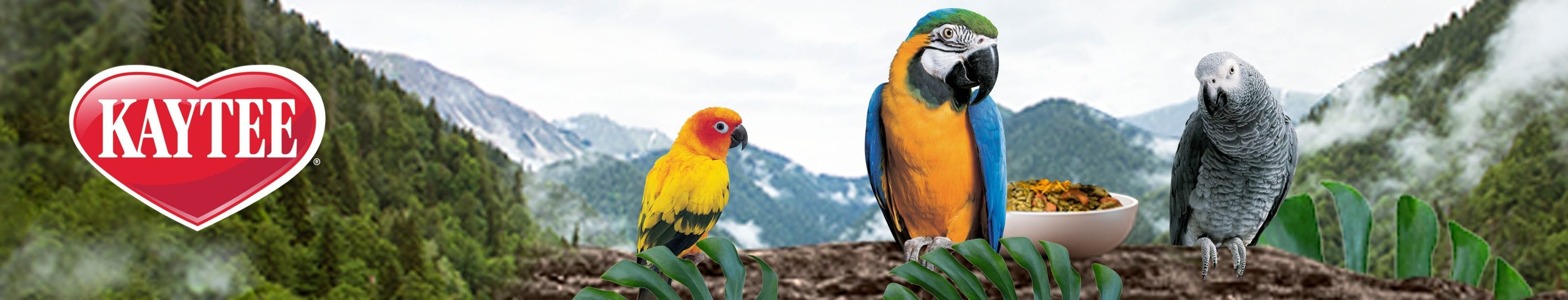 KAYTEE Food from the Wild Medley Med & Large Pet Bird Treats, 3-oz bag ...