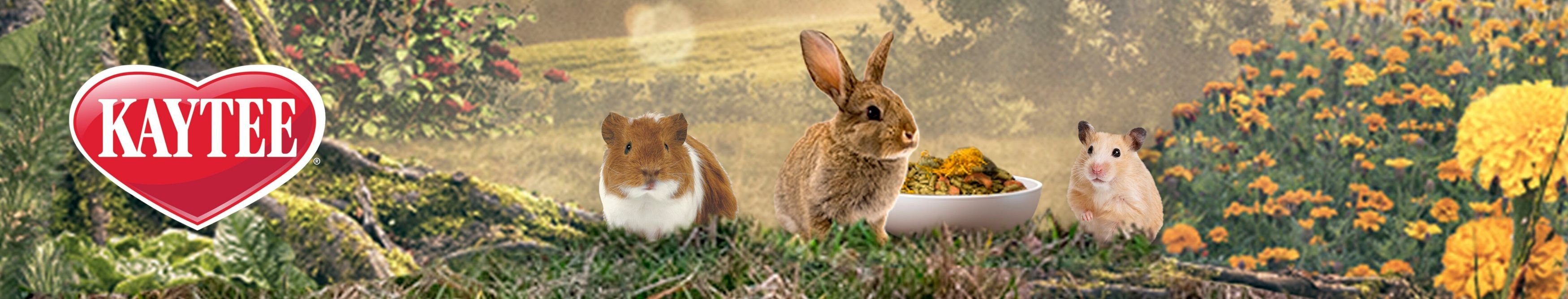 KAYTEE Food From the Wild Rabbit Food, 4-lb bag - Chewy.com