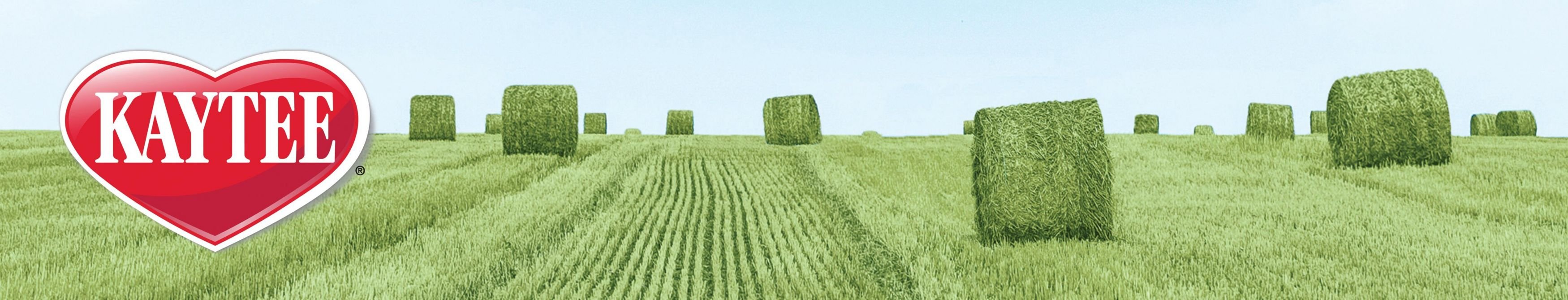 KAYTEE Natural Timothy Blend Cubes Small Animal Treats, 1-lb bag ...