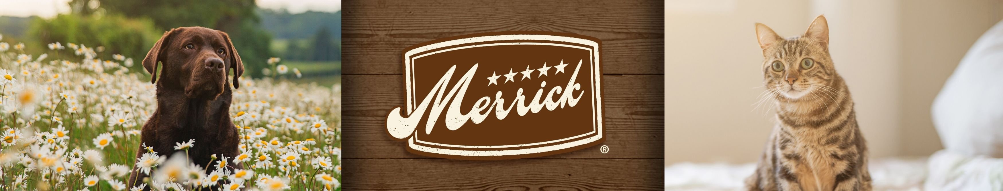 MERRICK Turkey Bone Broth Grain-Free Wet Dog & Cat Food Topper, 16-oz ...