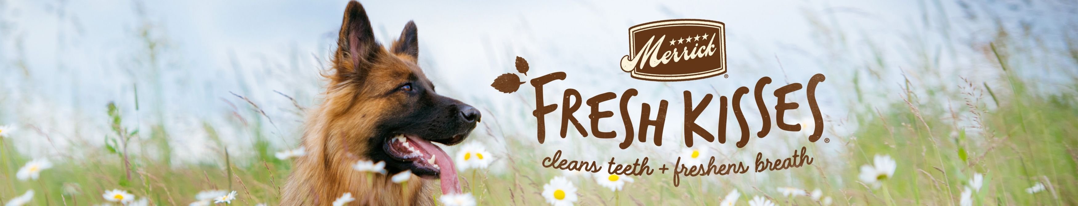 MERRICK Fresh Kisses Double-Brush Mint Breath Strip Infused Small ...