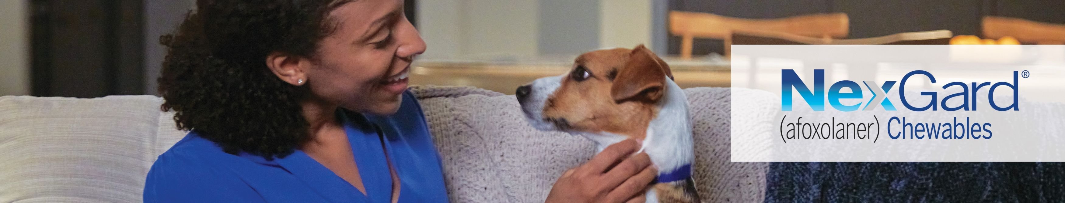 NEXGARD Chewables for Dogs, 24.1-60 lbs, (Purple Box) - Easy Refills ...