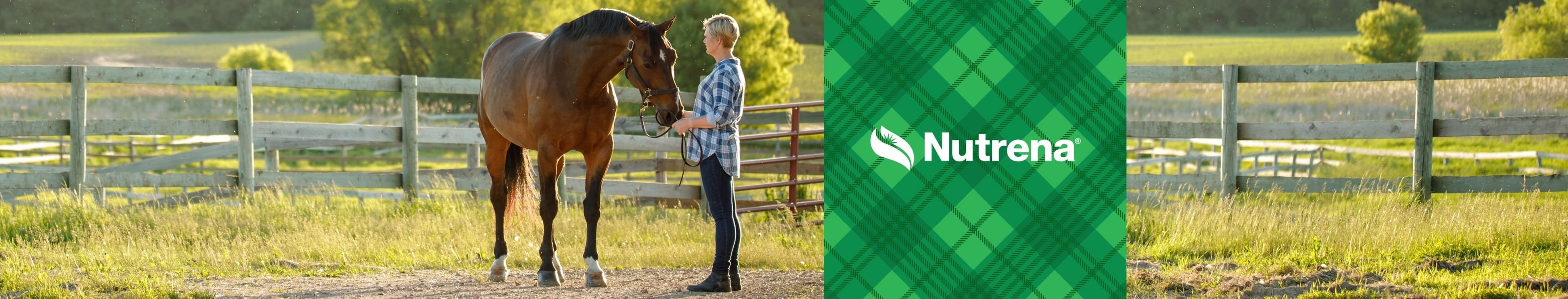 NUTRENA SafeChoice Senior Molasses Free Horse Feed, 50-lb bag - Chewy.com