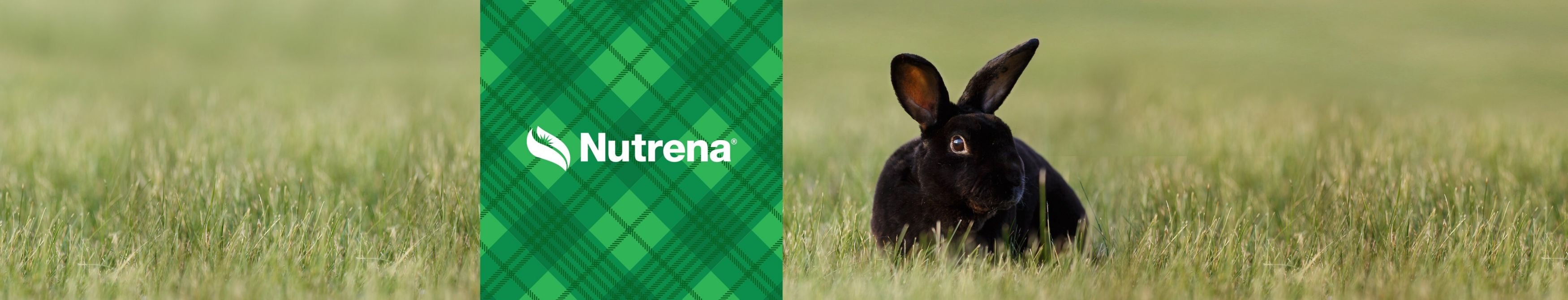 NUTRENA NatureWise Premium Rabbit Food, 25-lb bag - Chewy.com