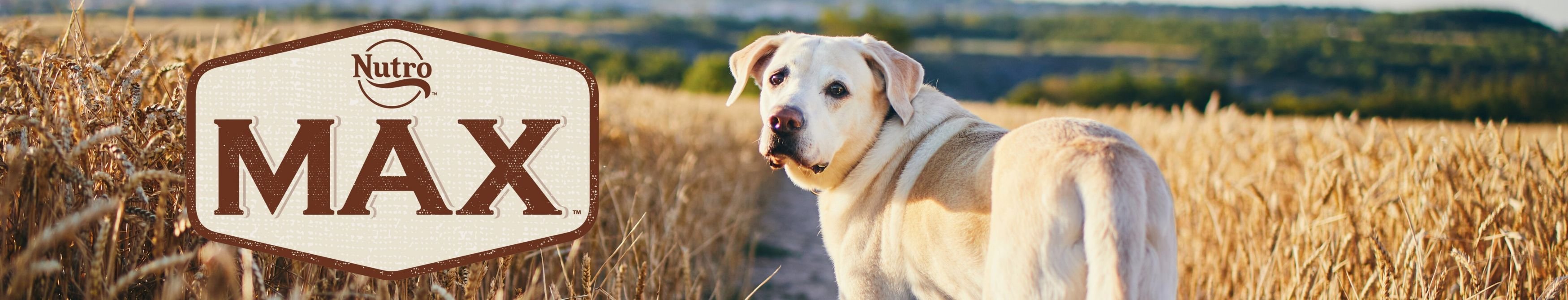 NUTRO Max Adult Farm-Raised Chicken Recipe Natural Dry Dog Food, 4-lb ...