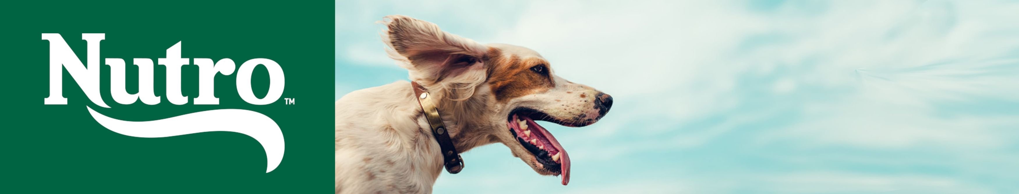 NUTRO Natural Choice Adult Healthy Weight Lamb & Brown Rice Recipe Dry ...