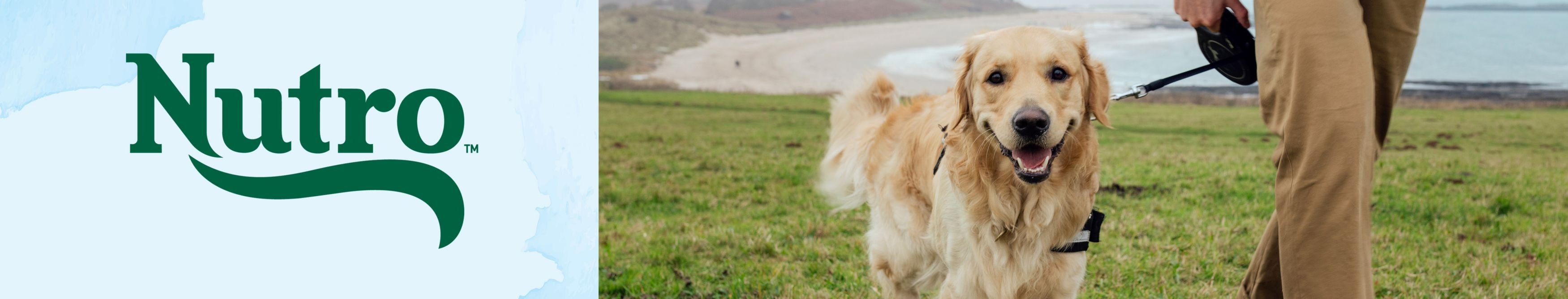 NUTRO Limited Ingredient Diet Adult Sensitive Support with Real Venison ...