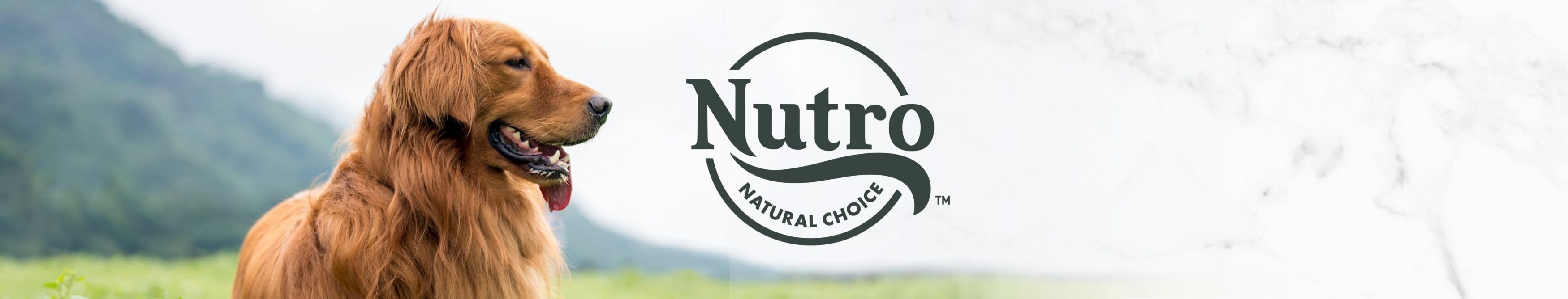 Discontinued - NUTRO SO SIMPLE Adult Beef & Rice Recipe Natural Dry Dog ...