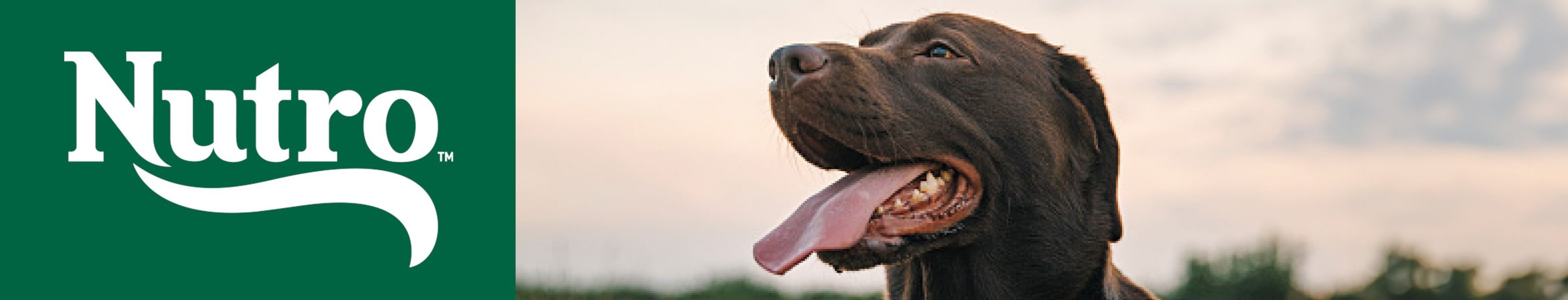 NUTRO Hearty Stew Variety Pack Chunky Beef, Tomato, Carrot & Pea Stew ...