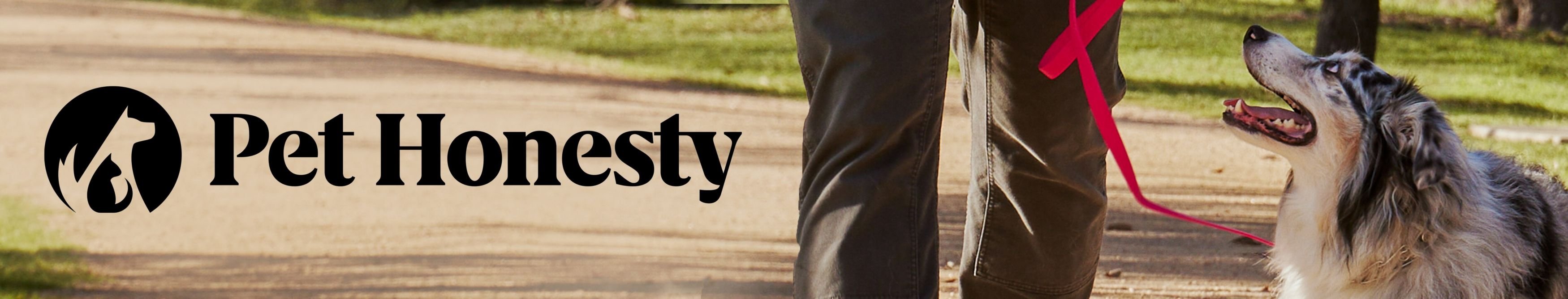 PET HONESTY Fresh Breath Freshener Mint Flavored Dental Powder for Dogs ...